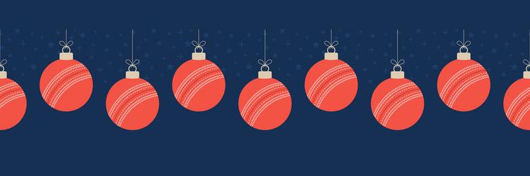 Cricket ball hanging as christmas bauble Vector Image