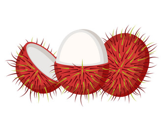 Rambutan whole fruit and half Royalty Free Vector Image