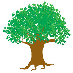 Fresh green tree with leaves outline Royalty Free Vector