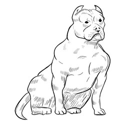 Pitbull Outline Sitting
