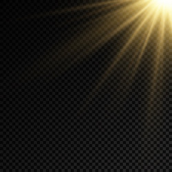 Sunlight with bright explosion flare sun rays Vector Image