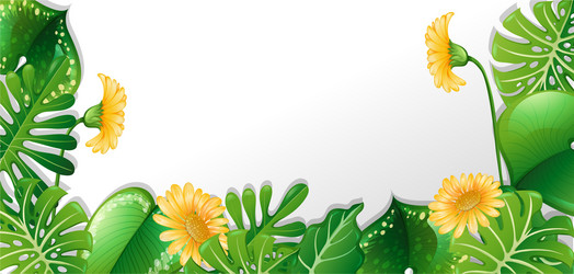 Yellow daisy flower border Royalty Free Vector Image