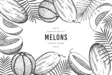 Mango banner template exotic fruit hand-drawn Vector Image