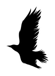 Crow Silhouette Vector Images (over 4,400)