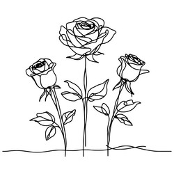 Three roses sketch linear style Royalty Free Vector Image