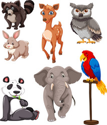 Different seven animals attached to number Vector Image