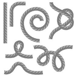 Rope knot Royalty Free Vector Image - VectorStock