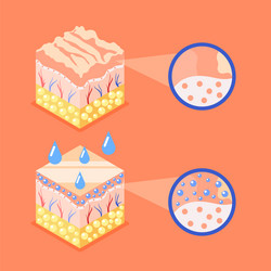 Rejuvenation Vector Images (over 3,800)