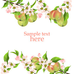 Apple blossom frame Royalty Free Vector Image - VectorStock