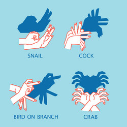 Shadow theater hands gesture like bull Royalty Free Vector