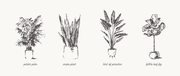 Greenery Drawing Vector Images (over 14,000)