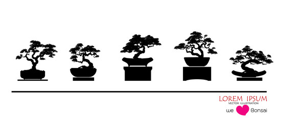 Bonsai tree plant silhouette icons on background Vector Image