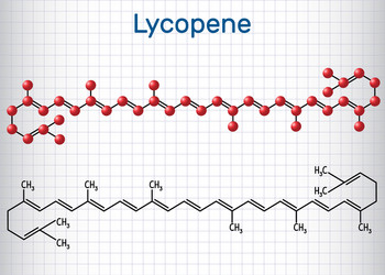 Lycopene molecule structural chemical formula Vector Image