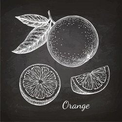 Orange Juice Chalk Vector Images (over 180)