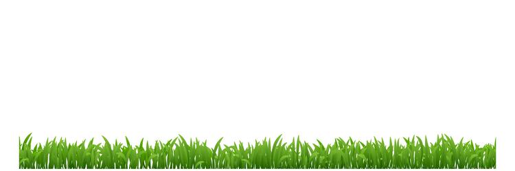 Swamp plants border realistic green grass line Vector Image