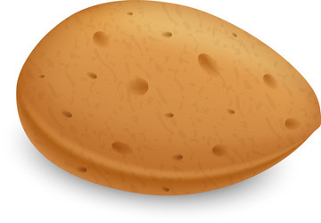 Kernel Vector Images (over 13,000)