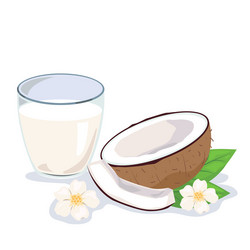 Coconut can Royalty Free Vector Image - VectorStock