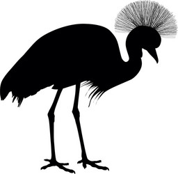 Bird with long legs Royalty Free Vector Image - VectorStock