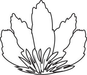 Sepal Vector Images (over 410)