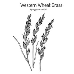 Prairie Vector Images (over 4,900)