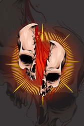 Skull Split Vector Images (53)