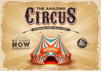 Circus Texture Vector Images (over 3,200)