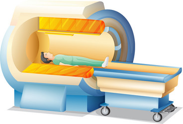 Mri flat Royalty Free Vector Image - VectorStock