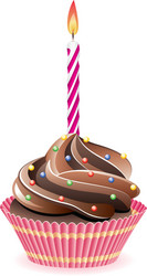 Pink birthday cupcake with burning candle Vector Image