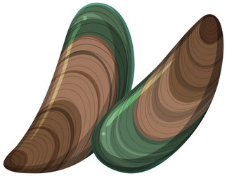 Isolated mussels seafood cartoon Royalty Free Vector Image