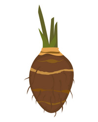 Taro Leaf Vector Images (over 120)