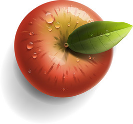 Ripe Vector Images (over 250,000)