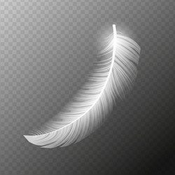 White flying feather Royalty Free Vector Image