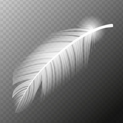 White flying feather Royalty Free Vector Image