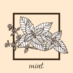 Mint Hand Drawn Vector Images (over 6,900)