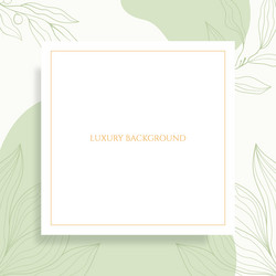 Luxury elegant minimalist social media post Vector Image