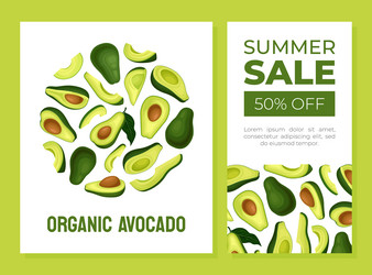 Avocado banner and poster design with green fruit Vector Image