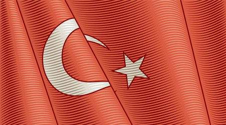 Turkey star flag Royalty Free Vector Image - VectorStock