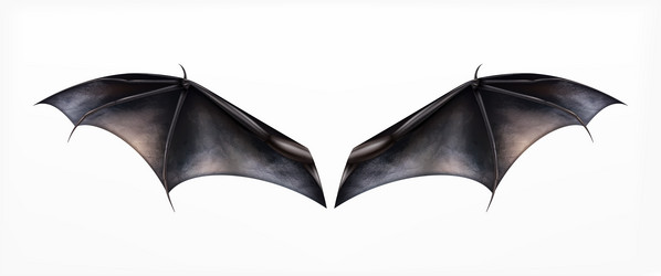 Bat Wings Vector Images (over 11,000)