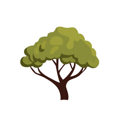 Green tree flat design template Royalty Free Vector Image