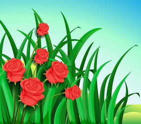 Garden Roses Vector Images (over 59,000)