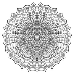 Abstract web outline on a white background Vector Image