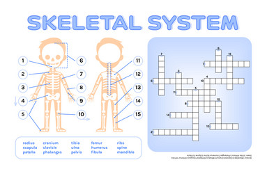 Crossword puzzle my body parts for children Vector Image