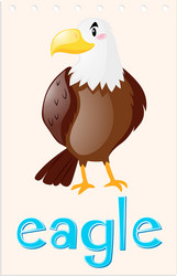 Eagle Flashcard Vector Images (24)