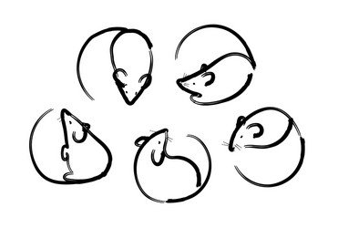 Rat Top View Vector Images (30)