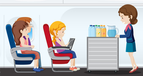 Service on the plane Royalty Free Vector Image