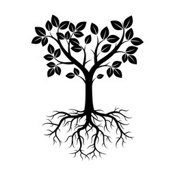 Tree Roots Black and White Vector Images (over 1,500)