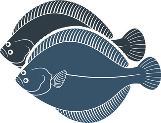 Flounder Royalty Free Vector Image - VectorStock