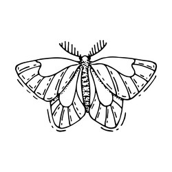Moth line art mysterious butterfly winged insect Vector Image
