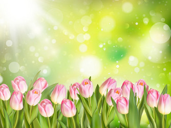Spring nature background with flowers Royalty Free Vector