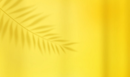 Shadow overlays on transparent background Vector Image